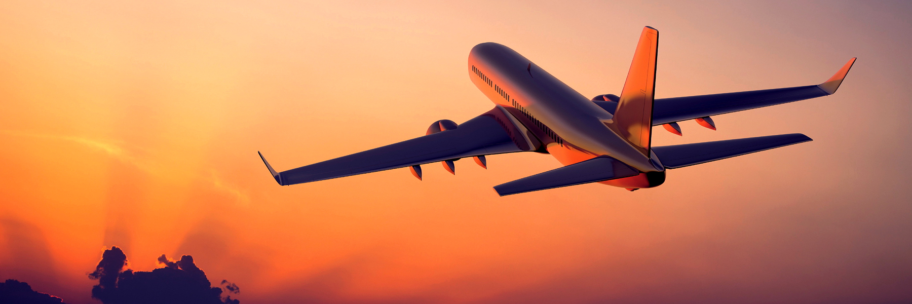 Flight Handling Ceylon Aviation